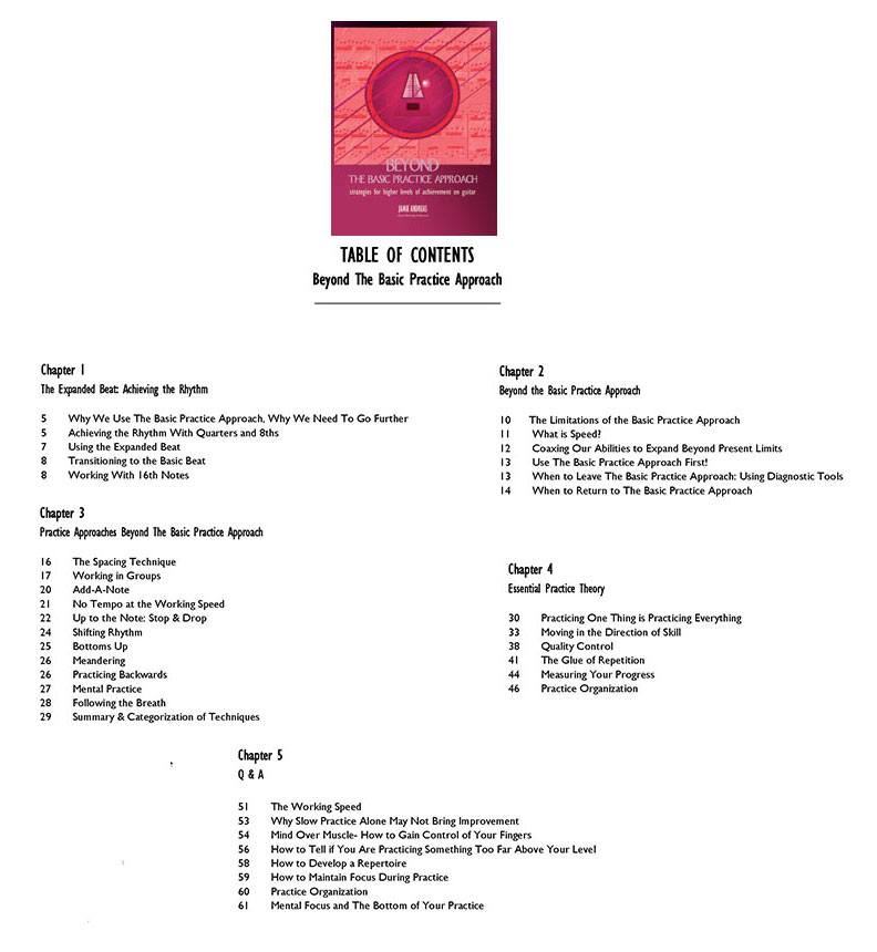 The Guitar Principles Path to Guitar Mastery | Guitar Principles